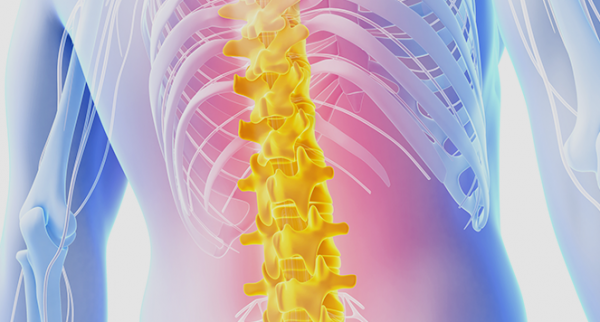 Discopathie dégénérative | Carvadys